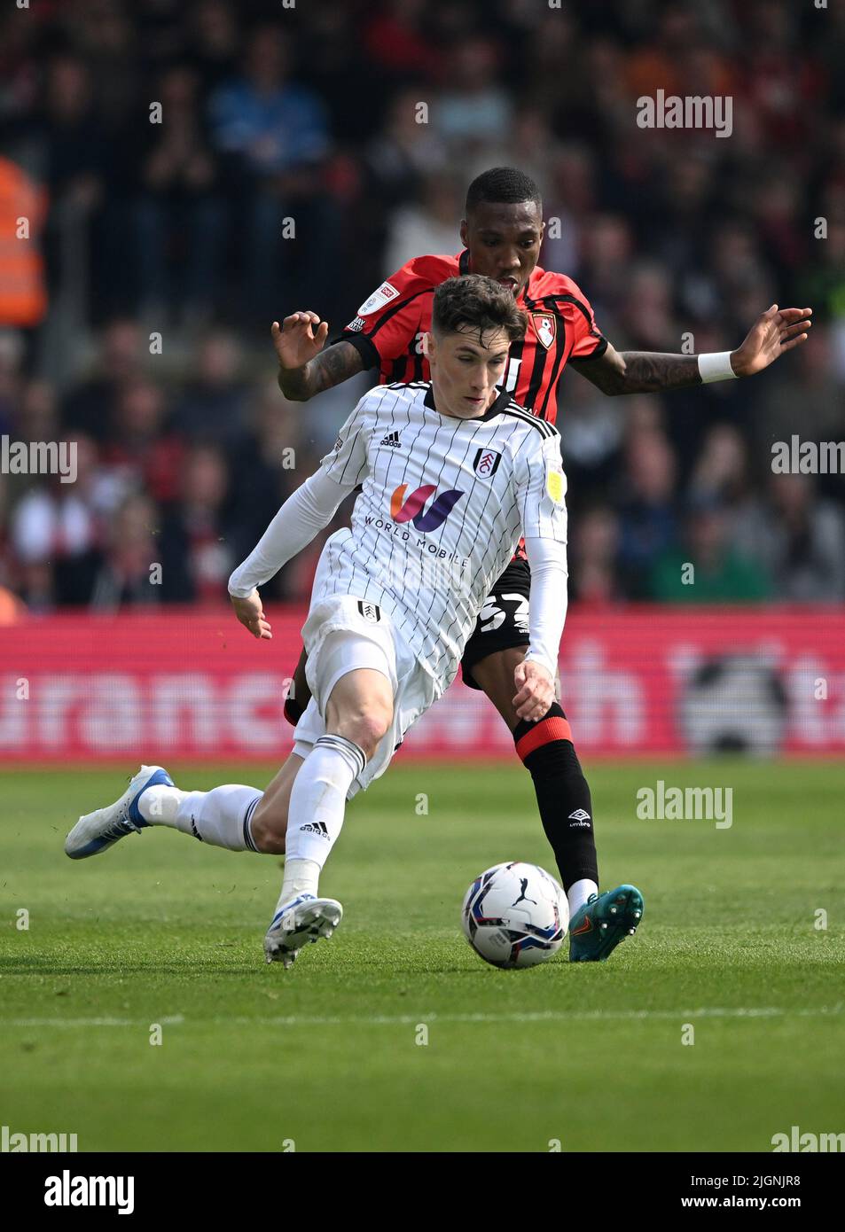 Harry wilson fulham hi-res stock photography and images - Alamy