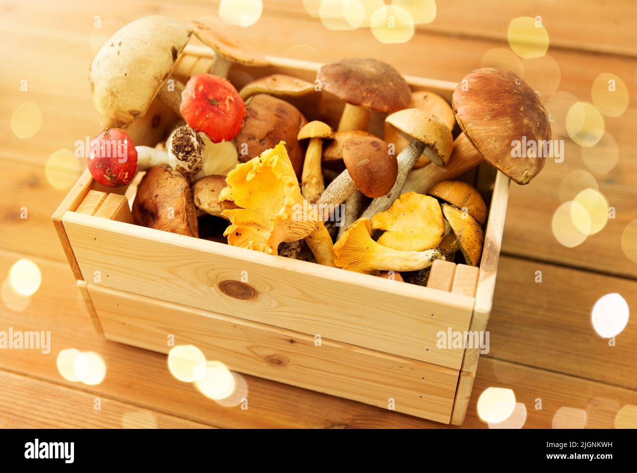 wooden box of different edible mushrooms Stock Photo - Alamy