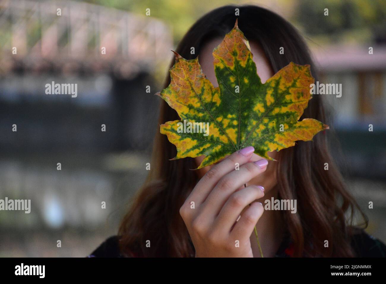 Girl hiding behing autumn leaf Stock Photo - Alamy