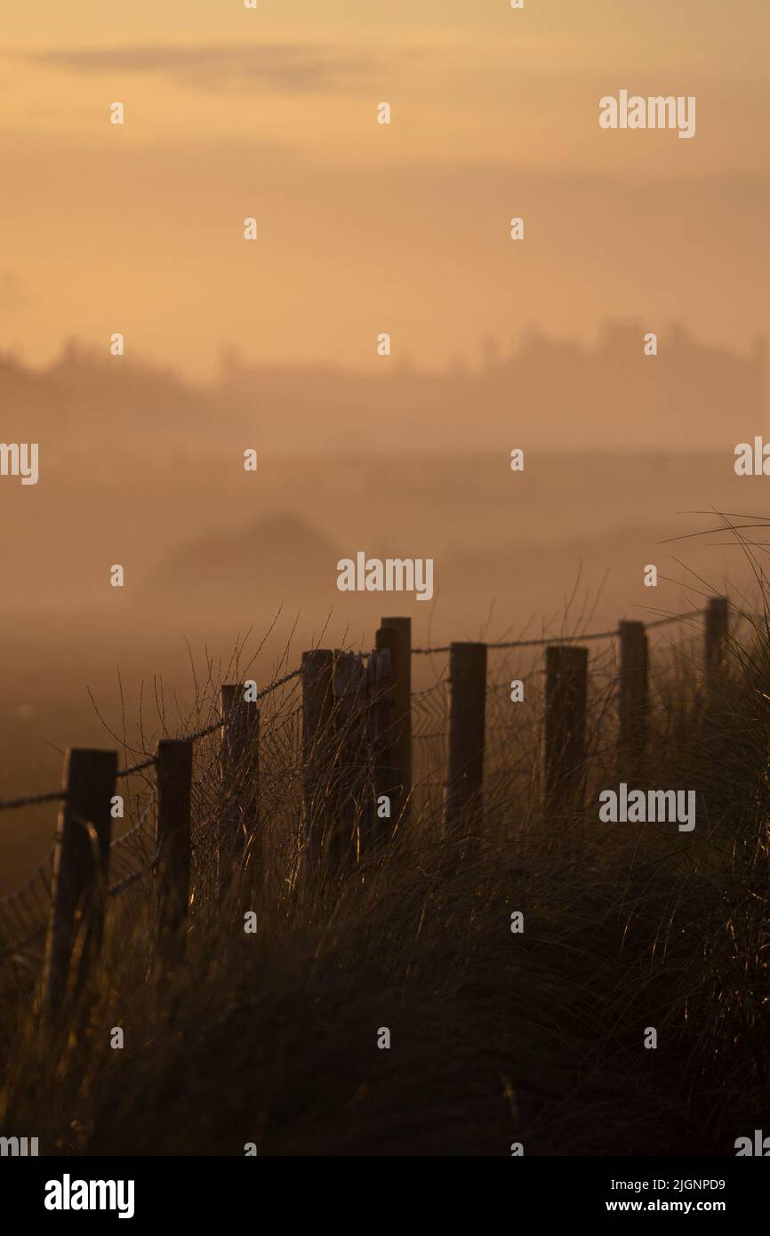 grass, fence and houses at sunset Stock Photo - Alamy