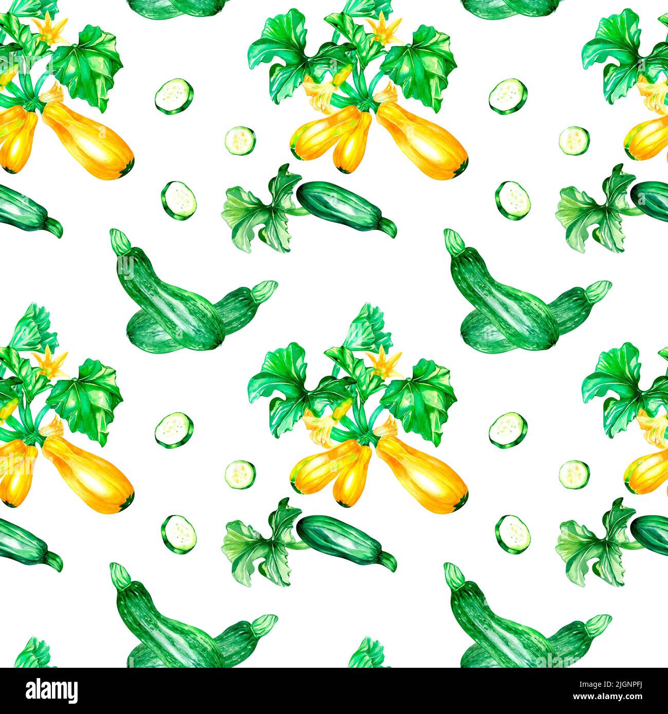 Green squashes, slices watercolor illustration seamless pattern on ...