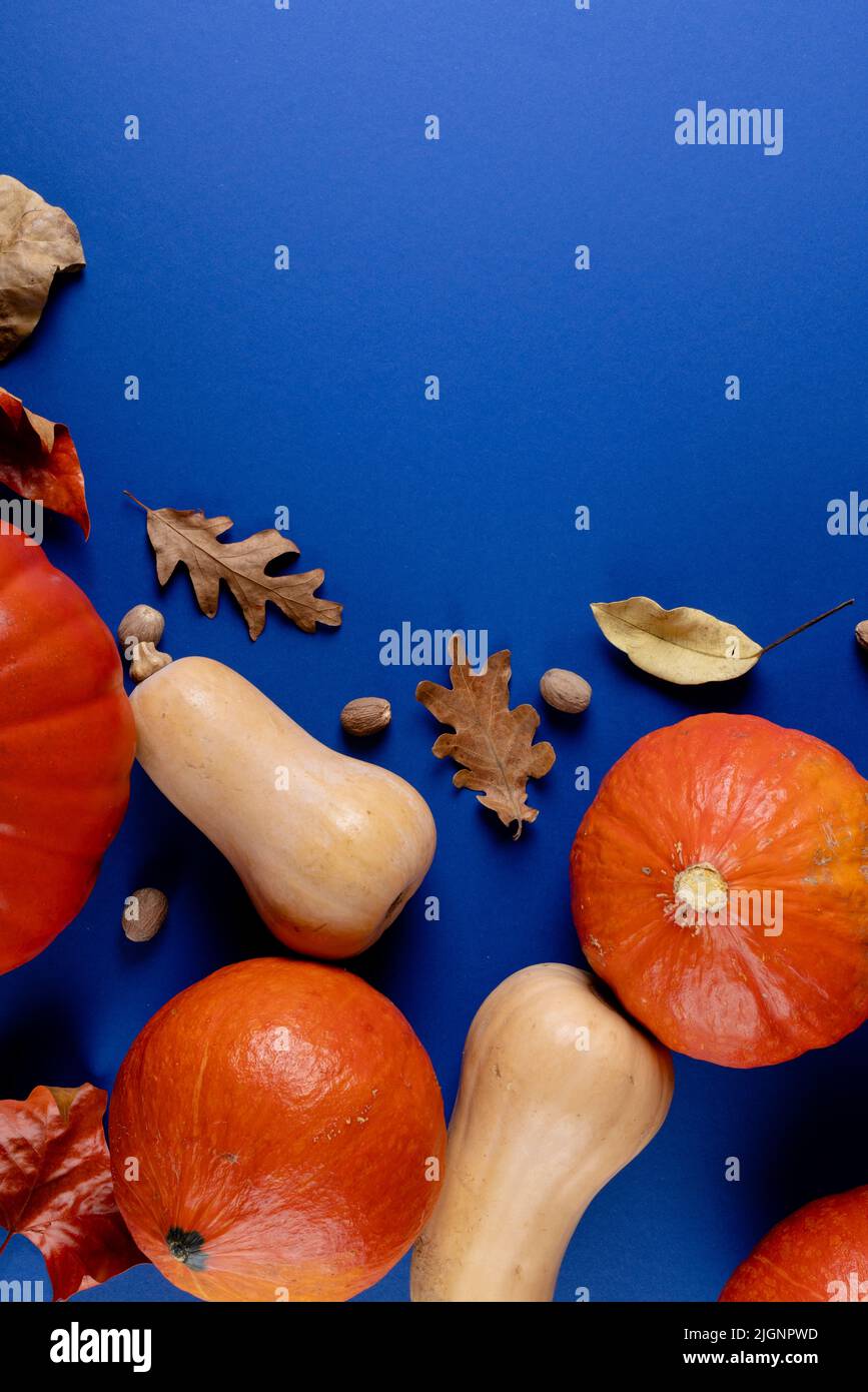 Composition of pumpkins with acorns and autumn leaves on blue ...