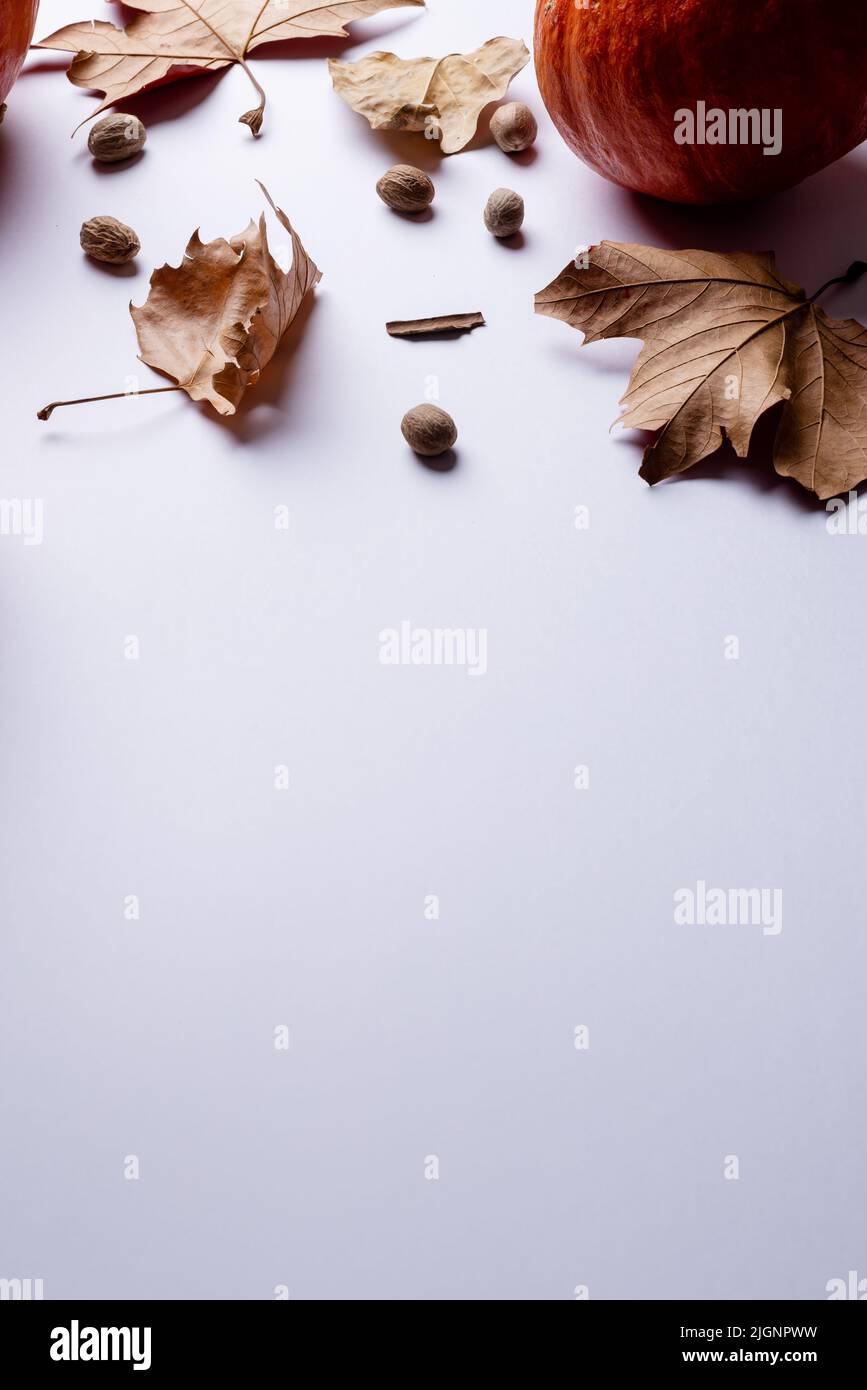 Composition of pumpkins with acorns and autumn leaves on white ...