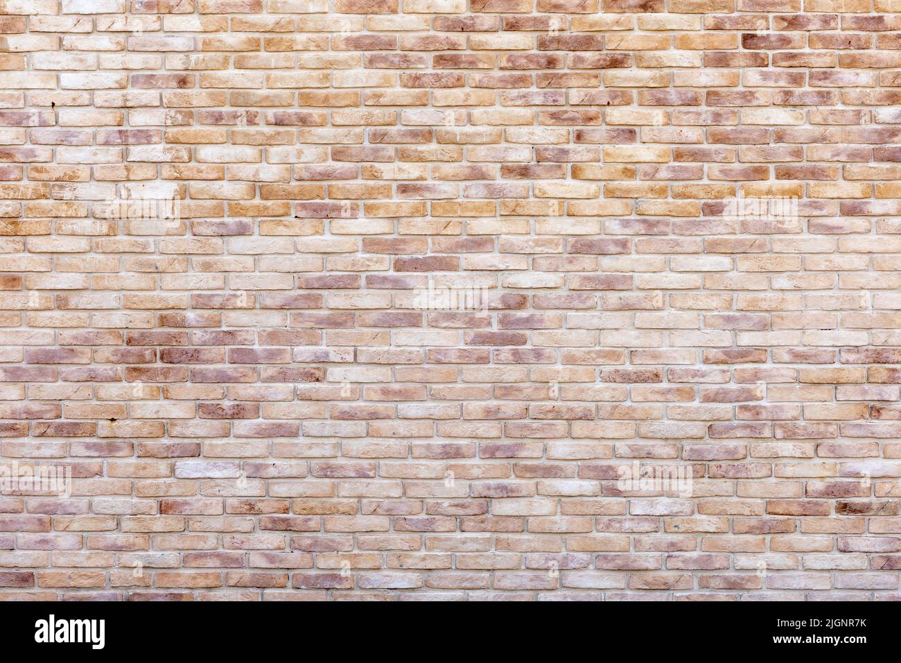 Brick wall. Front view. Photo in full screen. Not seamless texture ...