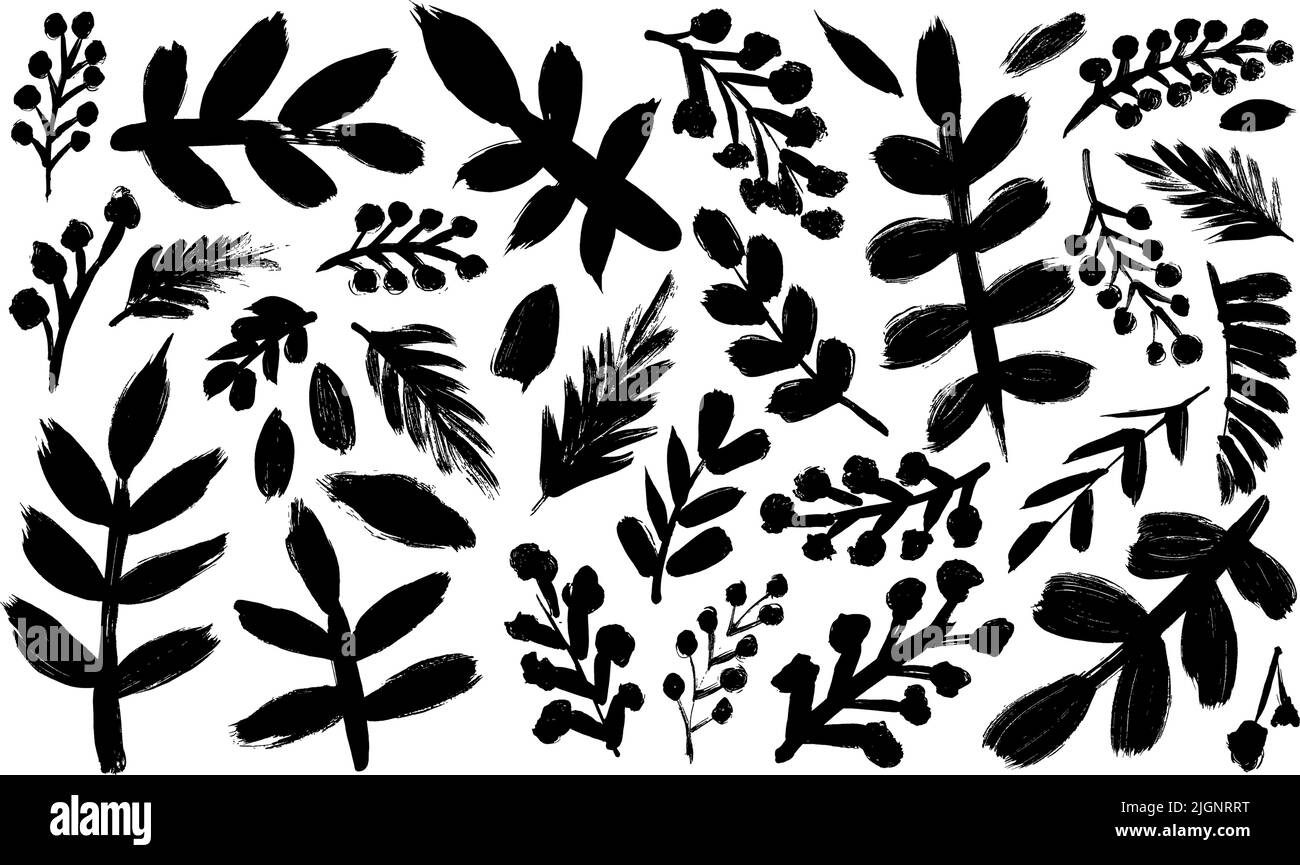 Leaves and pine branches hand drawn vector set Stock Vector Image & Art ...