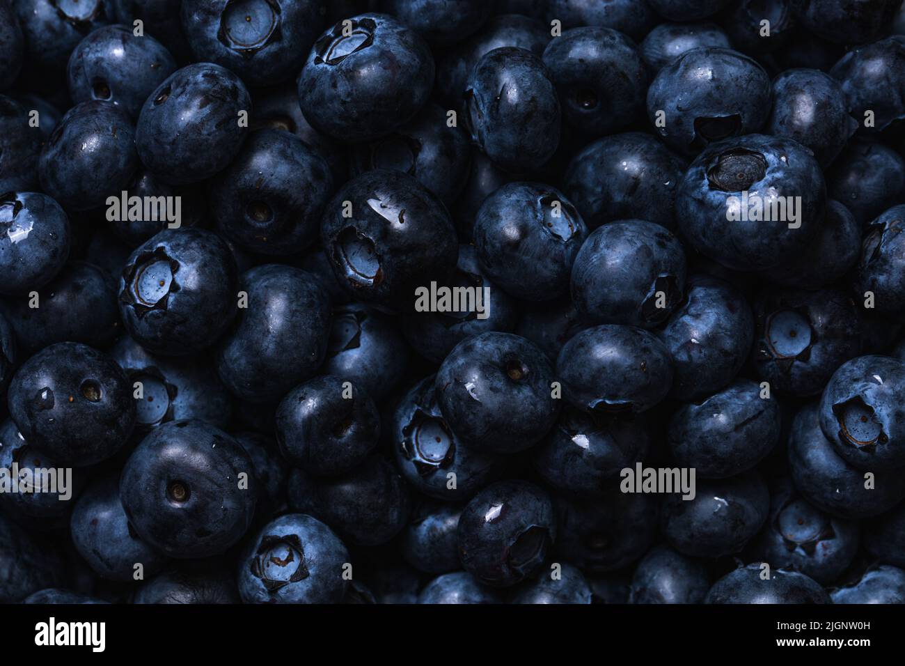 Texture photo of blueberry close up Stock Photo - Alamy