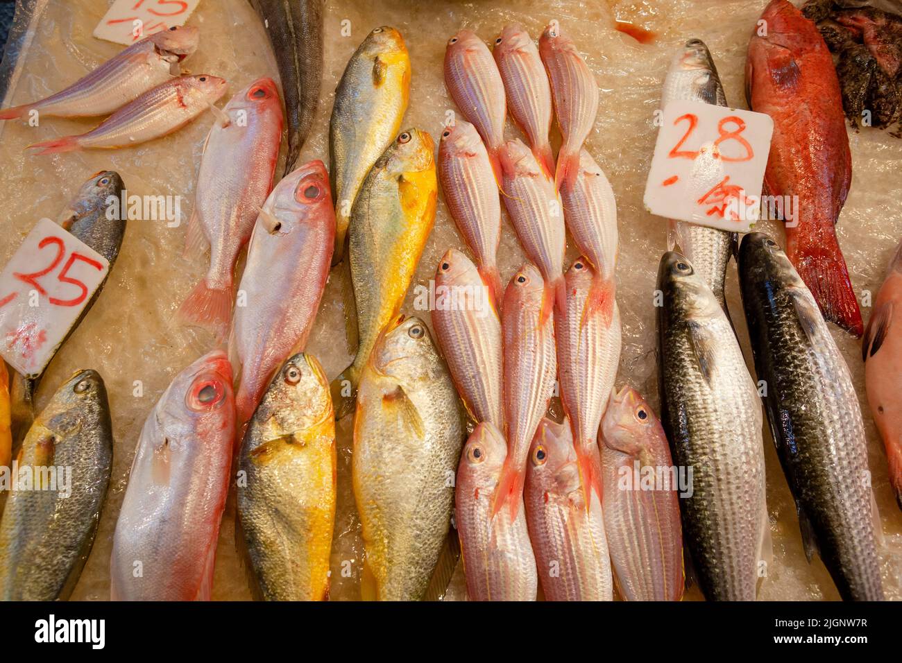 Fish Market, Hong Kong, China, South East Asia Stock Photo - Alamy