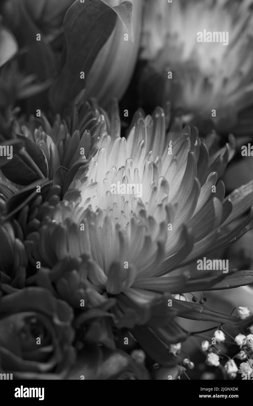 Beautiful bouquet of fresh spring flowers in full bloom in black and ...