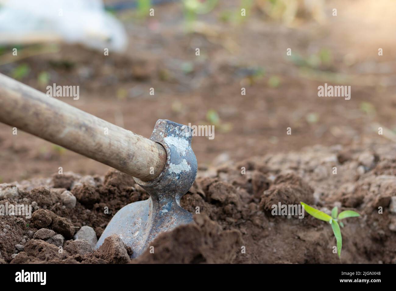 Baby shoe in mud hi-res stock photography and images - Alamy