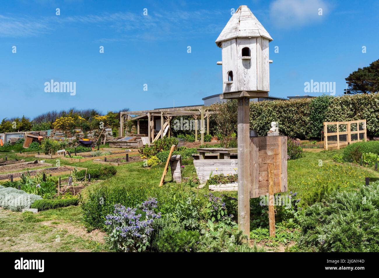 A wooden dovecote dovecot in the community growing space in Newquay ...
