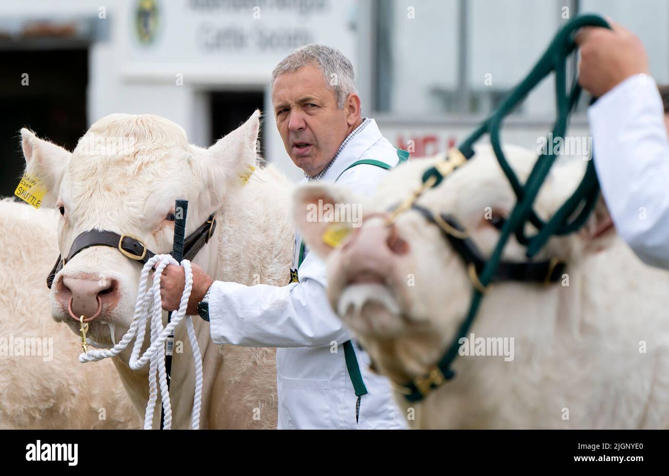 A entrant during the Great Yorkshire Show at the Great Yorkshire ...