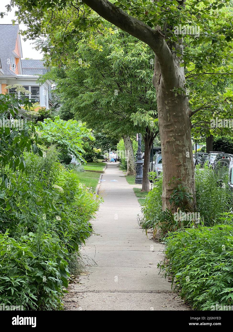 Spring on a quiet residential Street in the Prospect Park South ...