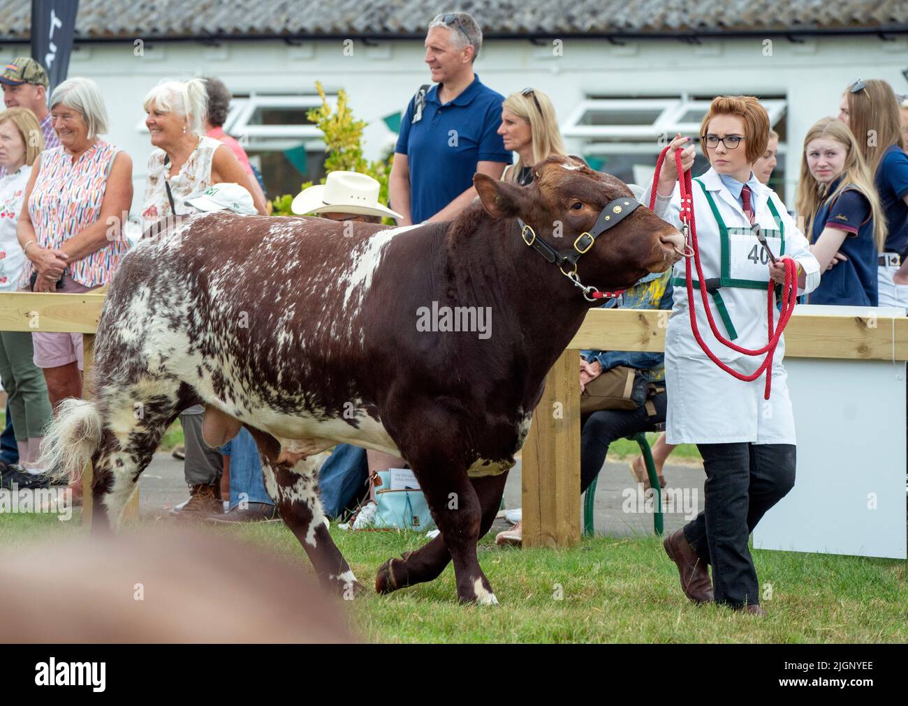 A entrant during the Great Yorkshire Show at the Great Yorkshire ...
