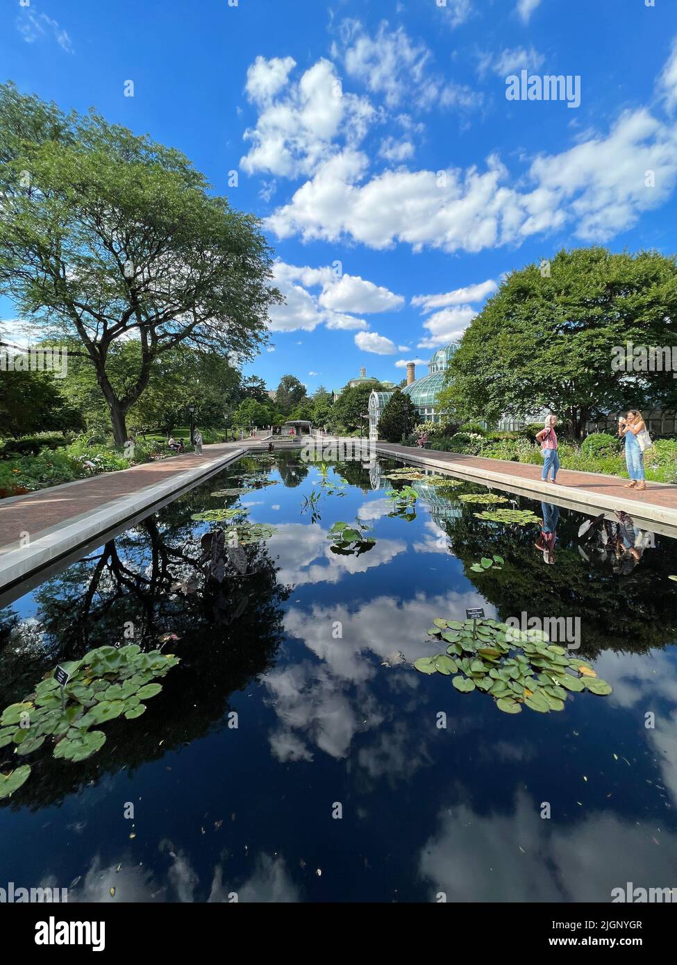 Reflections in the Water Lilies pool at the Brooklyn Botanic Garden in ...