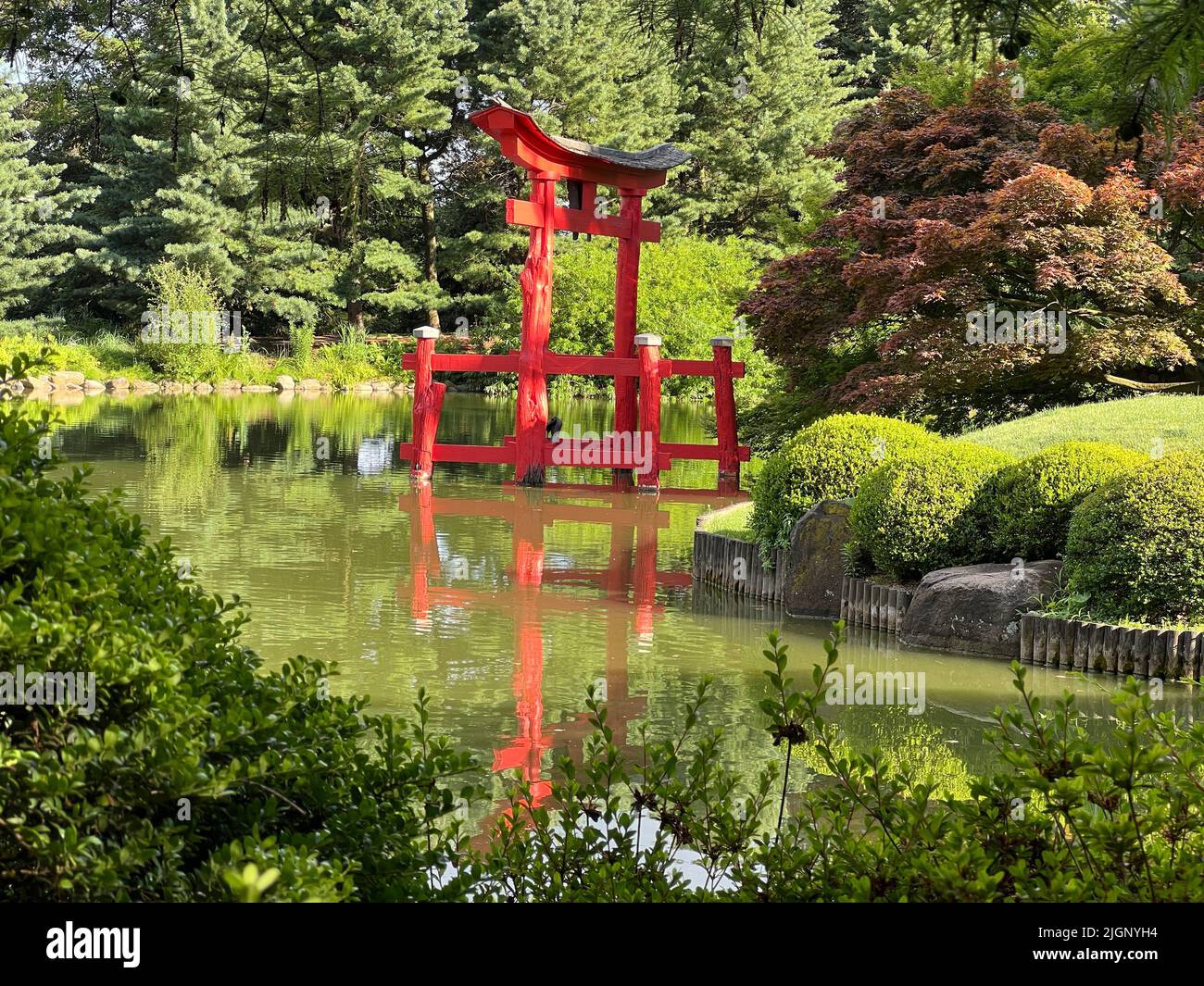 Looking across the pond in the Japanese Garden at the Brooklyn Botanic ...