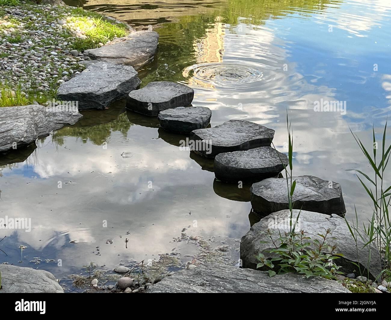 Stepping stones in the pond of the Japanese Garden at the Brooklyn ...