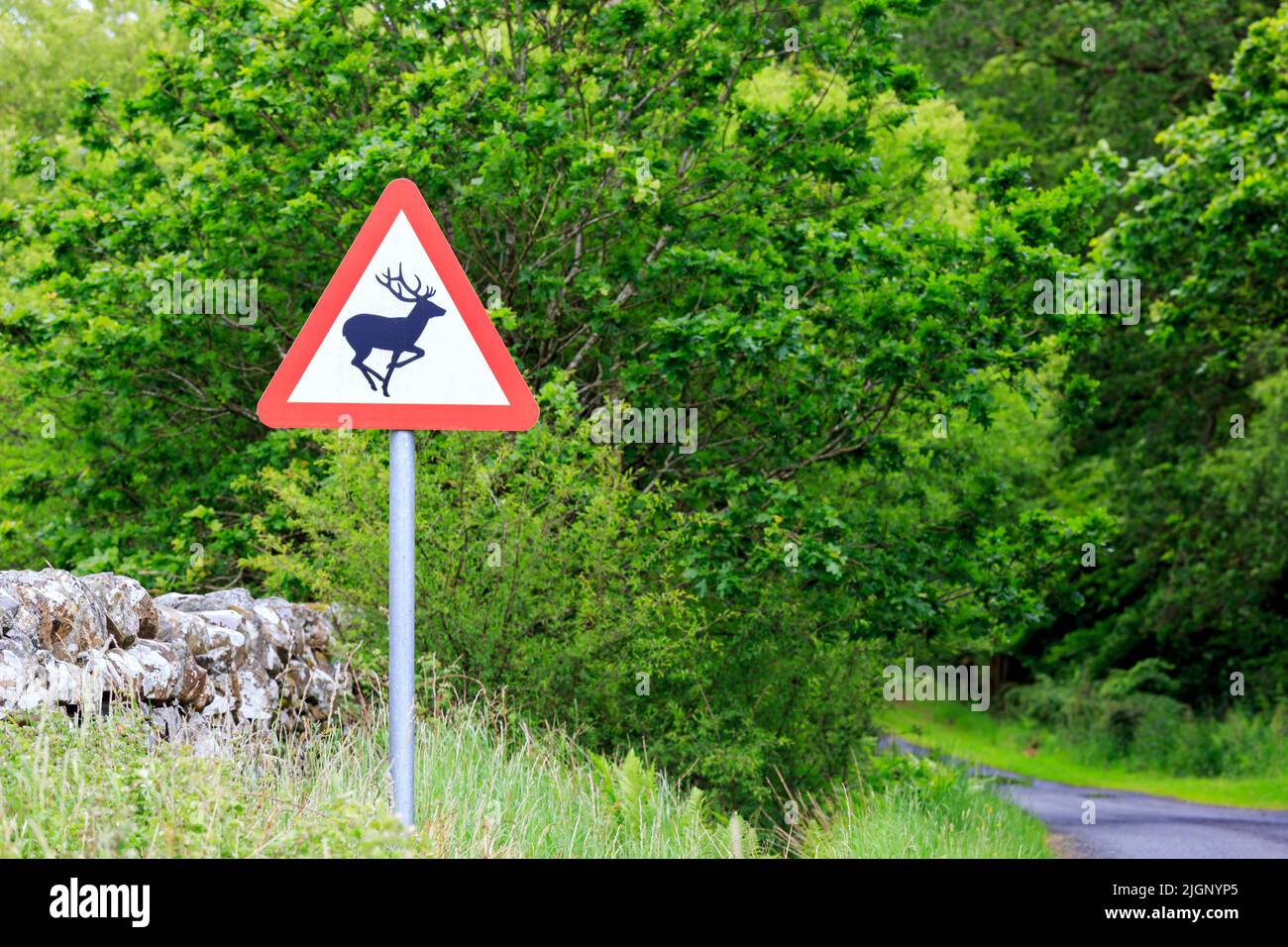 Triangle road sign warning of Deer in the Scottish countryside Stock ...