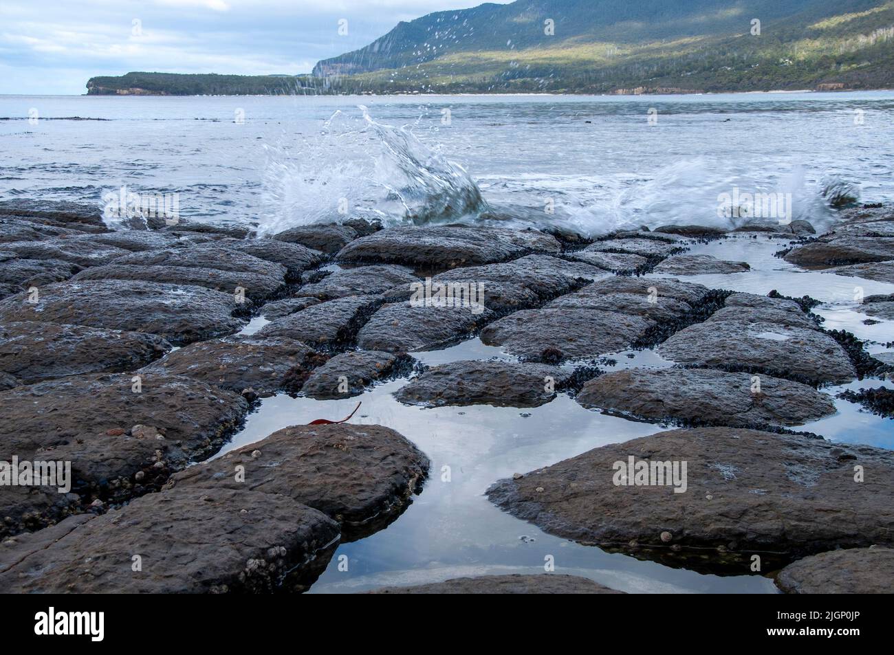 Eaglehawk Neck Australia, waves breaking over tessellated pavement with ...