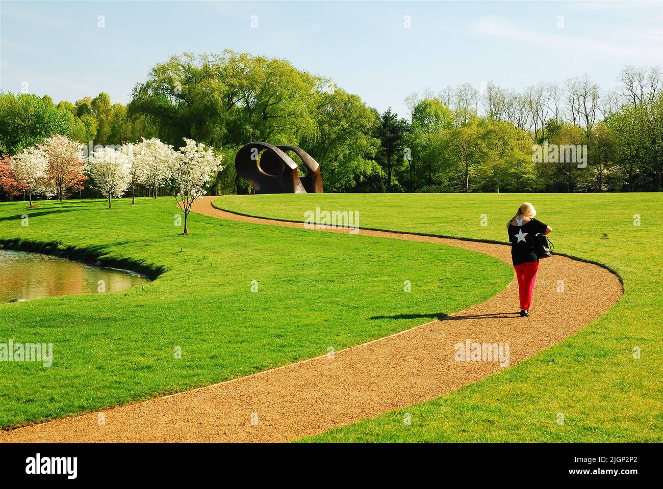 Dogwood grass hi-res stock photography and images - Alamy