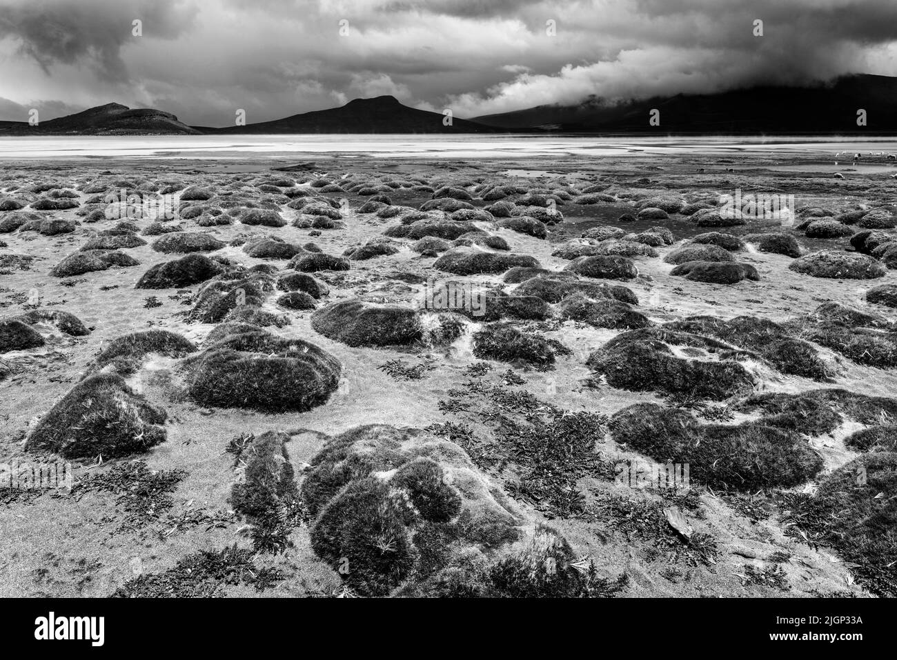 Moche peru Black and White Stock Photos & Images - Alamy