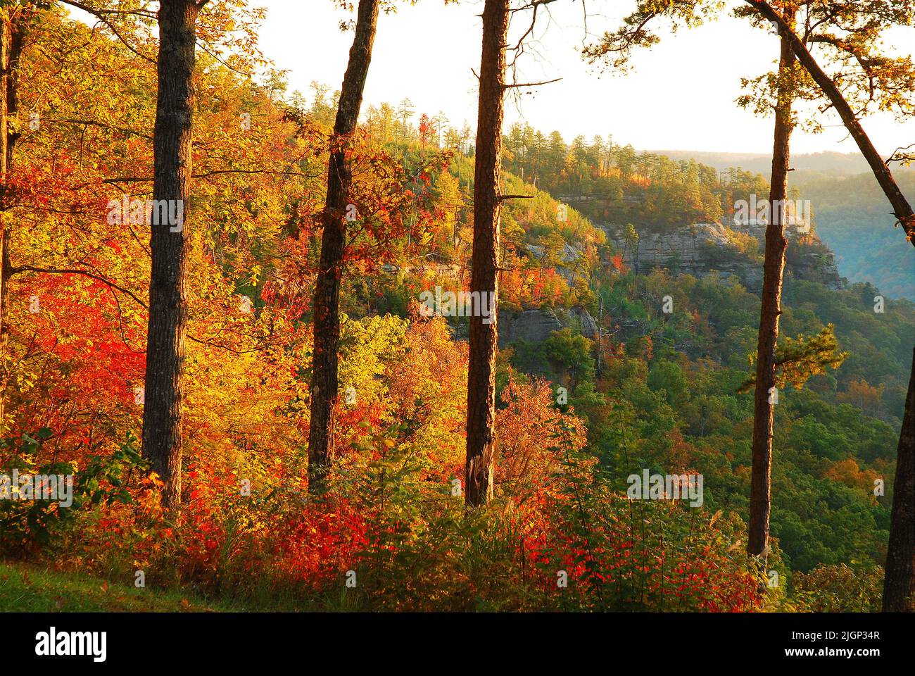 Brilliant autumn foliage and fall colors dominate a valley landscape in ...