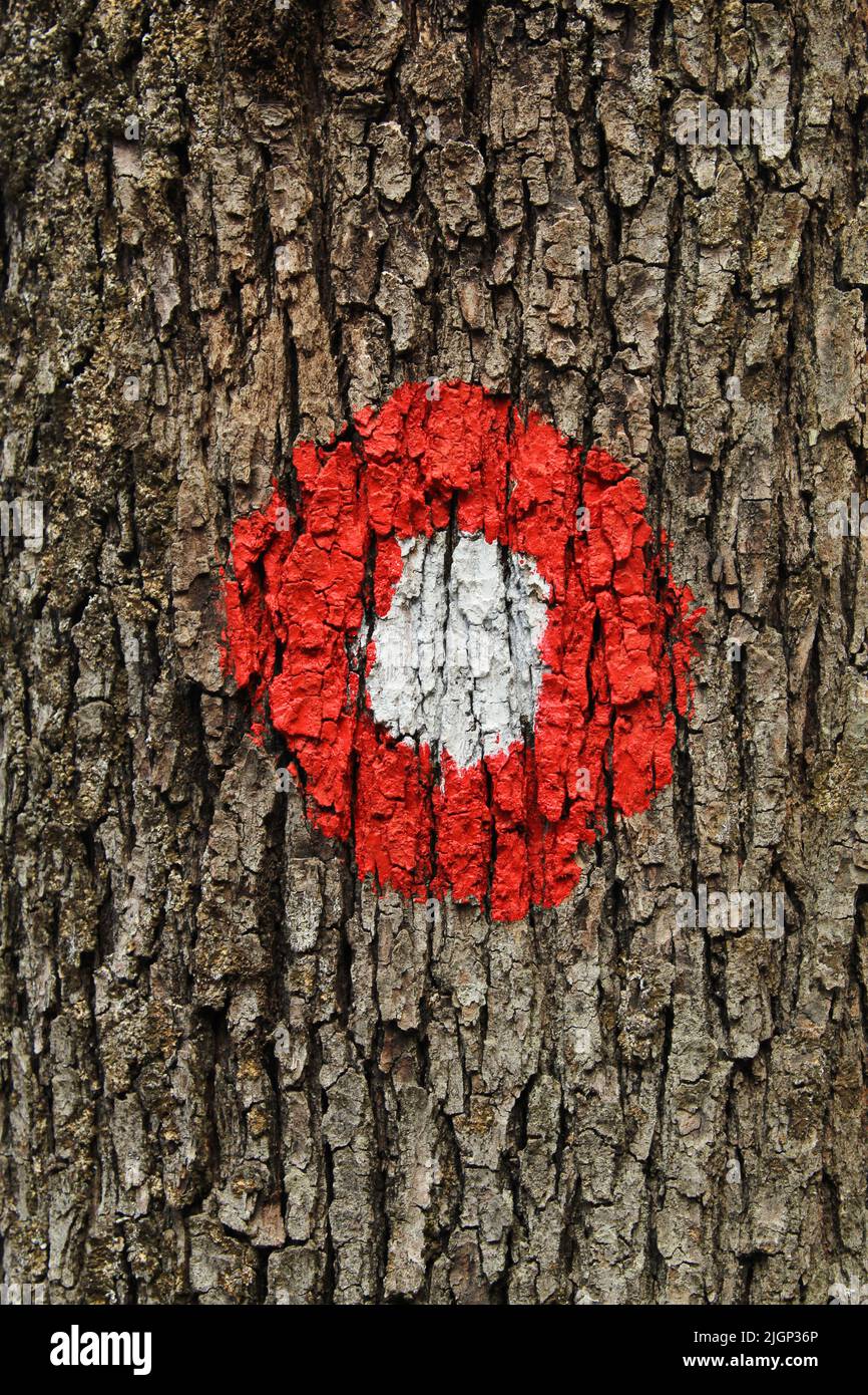 Red circle,white dot hiking sign on tree. Marking path and direction ...