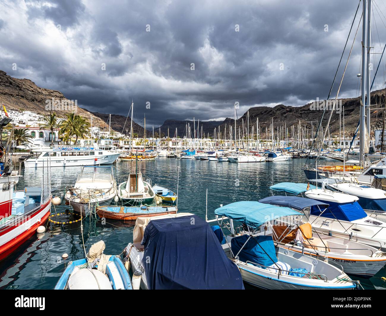 Colorful canarian fishing boats at the harbor in Puerto de Mogan, Gran ...