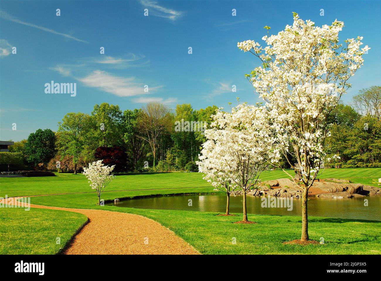 Pepsico headquarters purchase ny hi-res stock photography and images ...