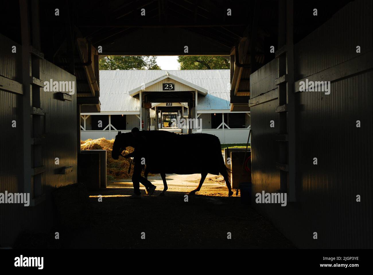 Horse trainer in stable hi-res stock photography and images - Alamy