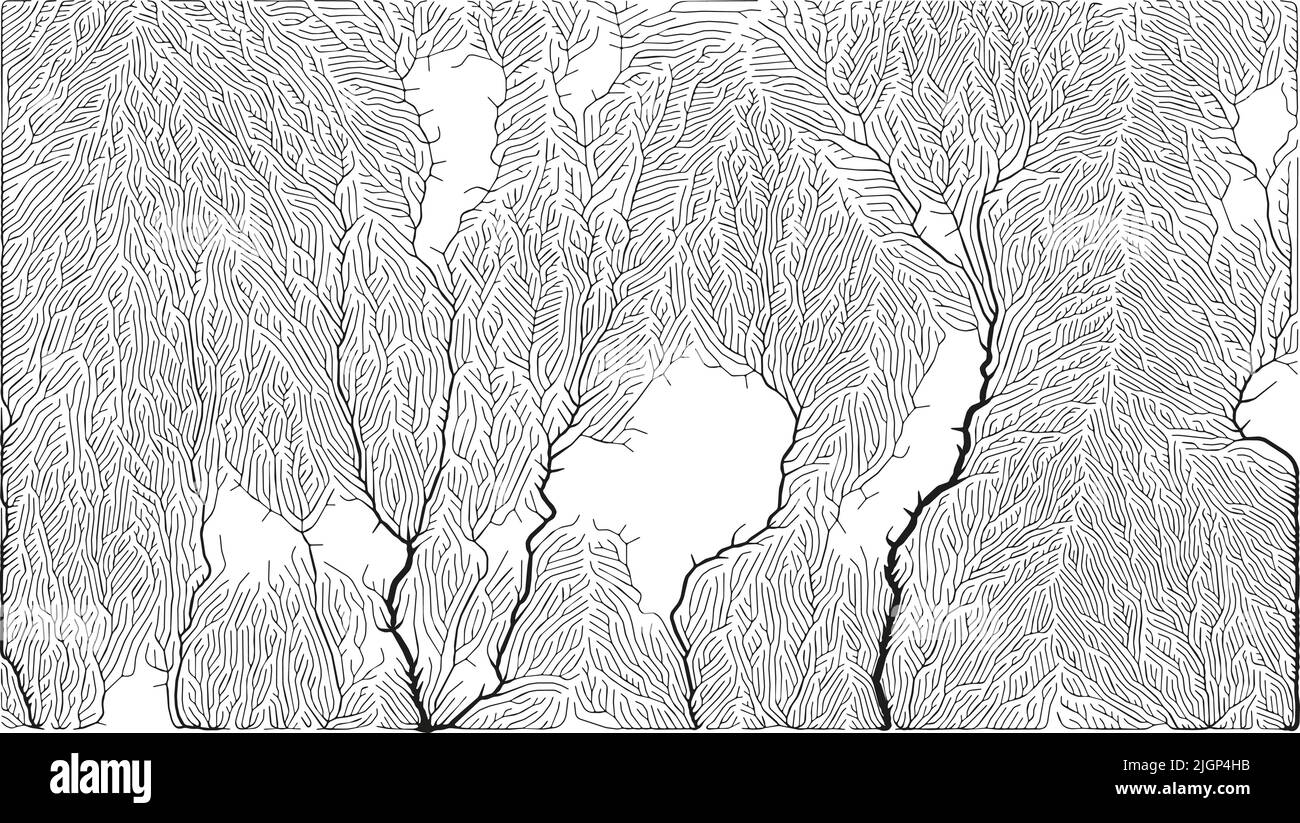 Branching tree illustration Cut Out Stock Images & Pictures - Alamy