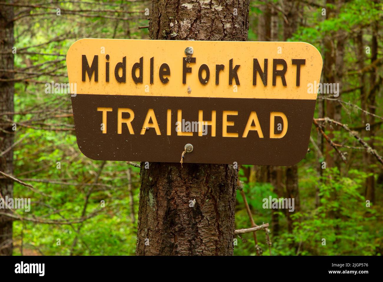 Trailhead sign along Middle Fork National Recreation Trail, Willamette National Forest, Oregon ...