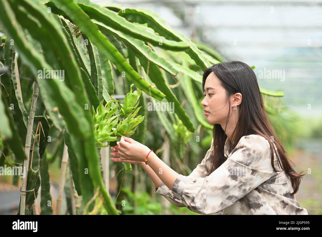 Sk graduation hi-res stock photography and images - Alamy