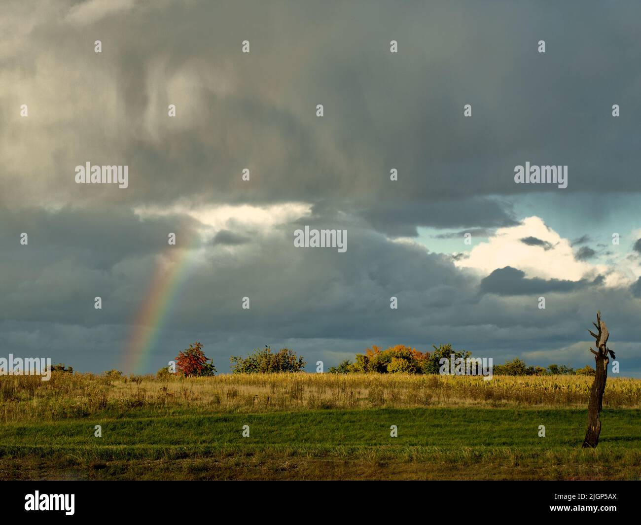 rainbow bursting from the dark thick dramatic clouds overlooking a ...