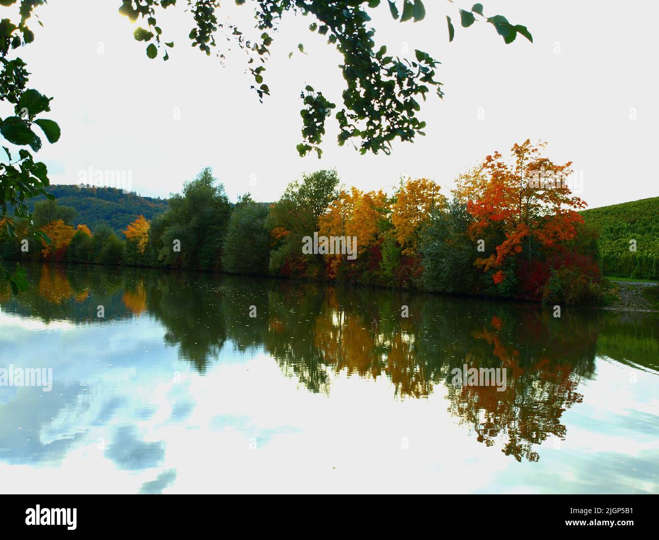 colorful leaves from the autumn trees reflecting on a still water Stock ...
