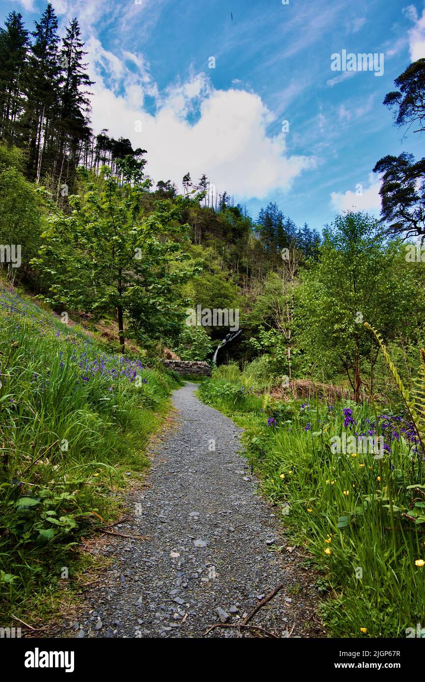 hidden water in the Galloway forest park Stock Photo - Alamy