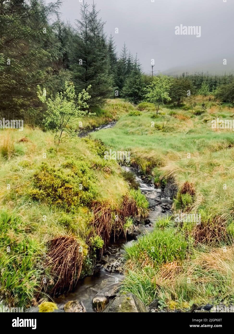 exploring the scottish countryside Stock Photo - Alamy