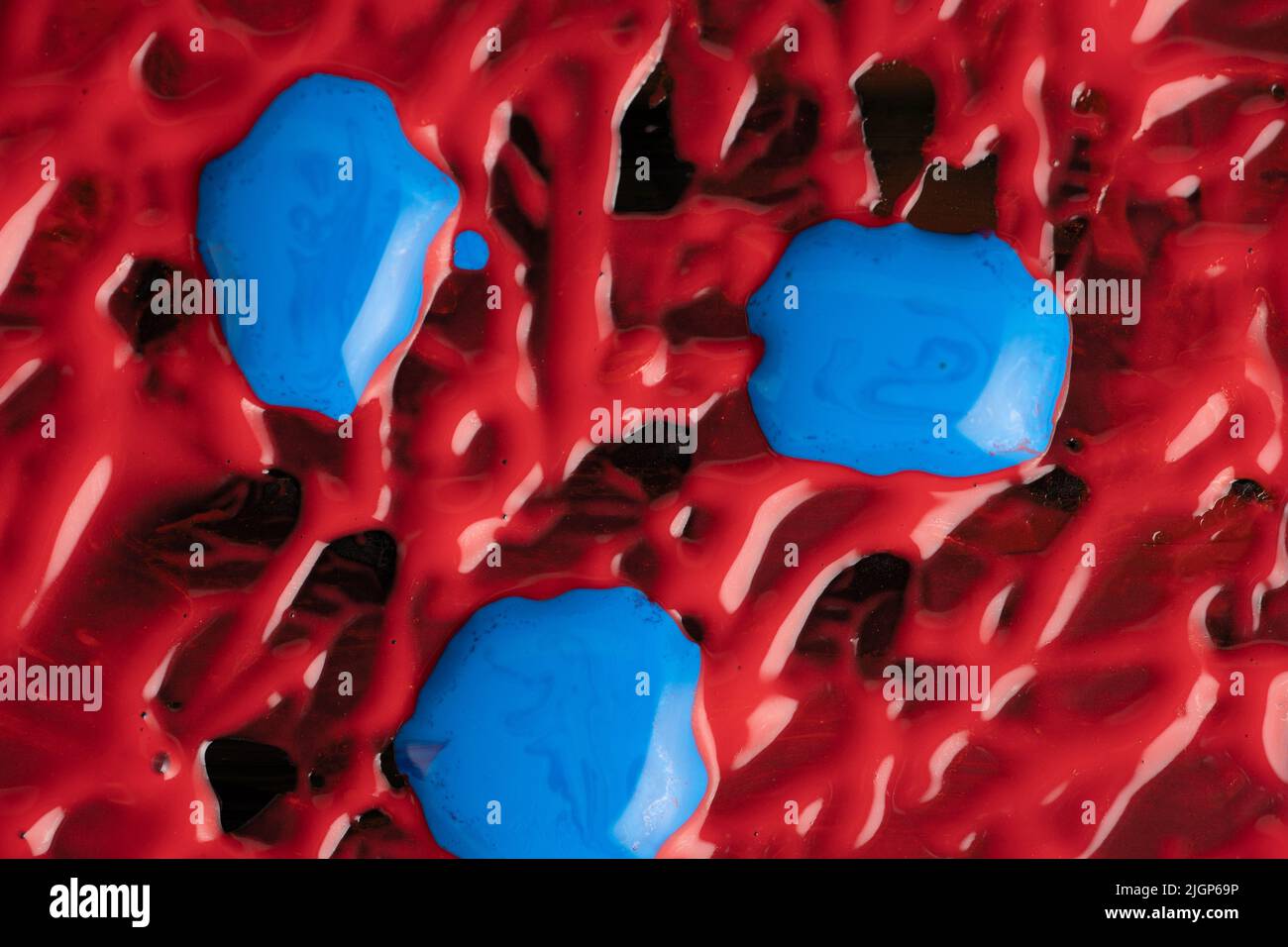 Abstract vibrant multi-color wet paint drops and splotch on black ...