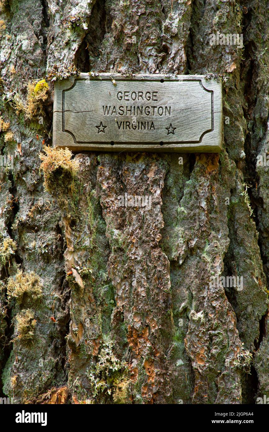 Signer marker along Constitution Grove Trail, North Fork of the Middle ...