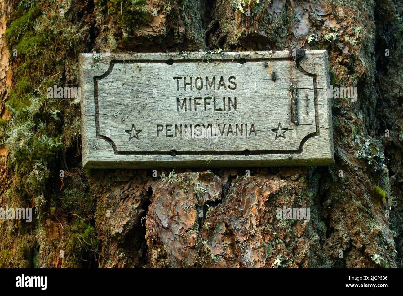 Signer marker along Constitution Grove Trail, North Fork of the Middle ...