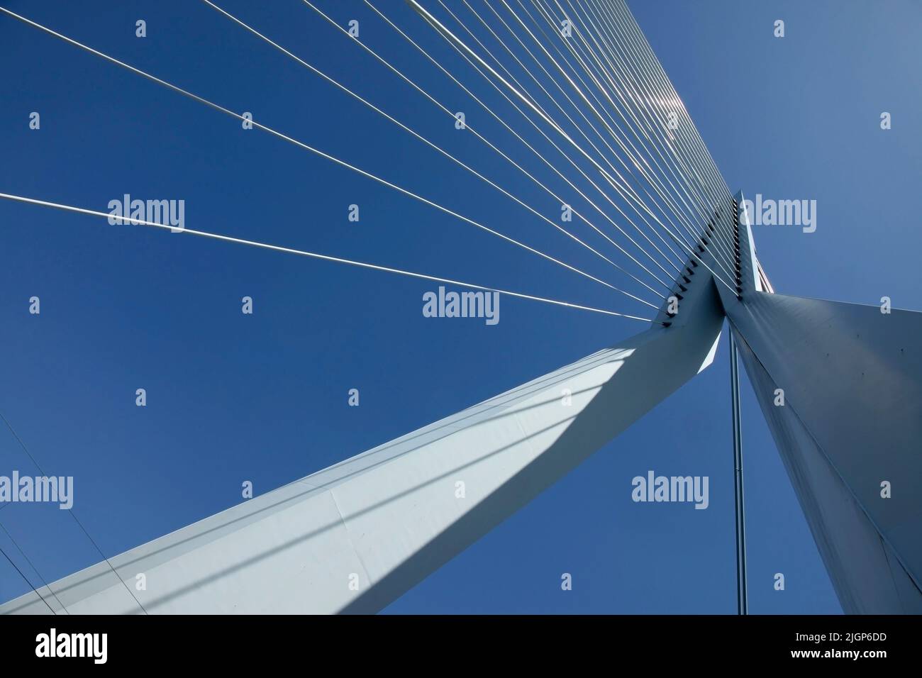 The Erasmusbrug or Erasmus Bridge (1996), Rotterdam, Netherlands Stock ...