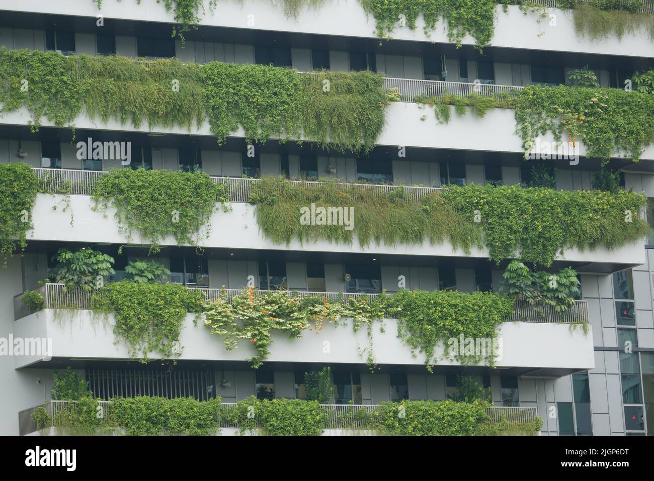 building with plants growing on the facade Stock Photo - Alamy