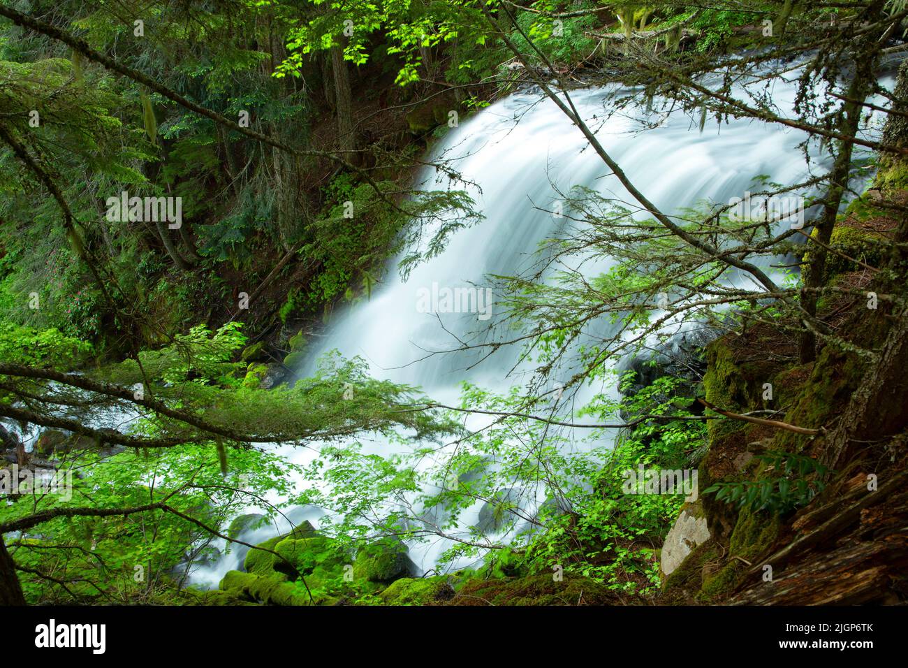 Waterfall along Erma Bell Lakes Trail, Willamette National Forest ...