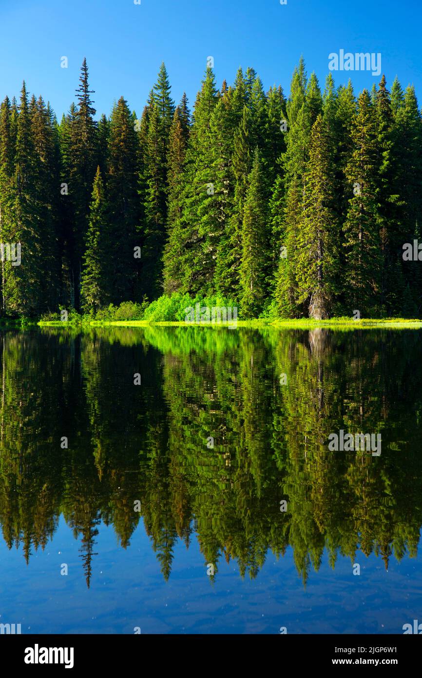 Middle Erma Bell Lake, Willamette National Forest, Three Sisters ...