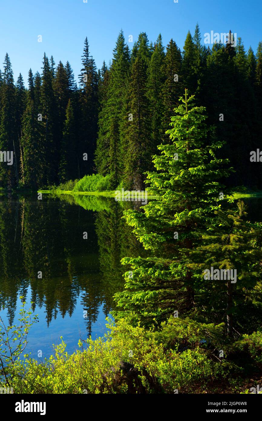 Middle Erma Bell Lake, Willamette National Forest, Three Sisters ...