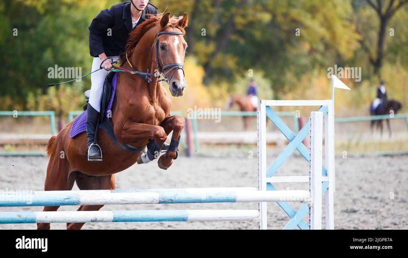 Young man riding horse jumping over the hurdle on his show jumping ...