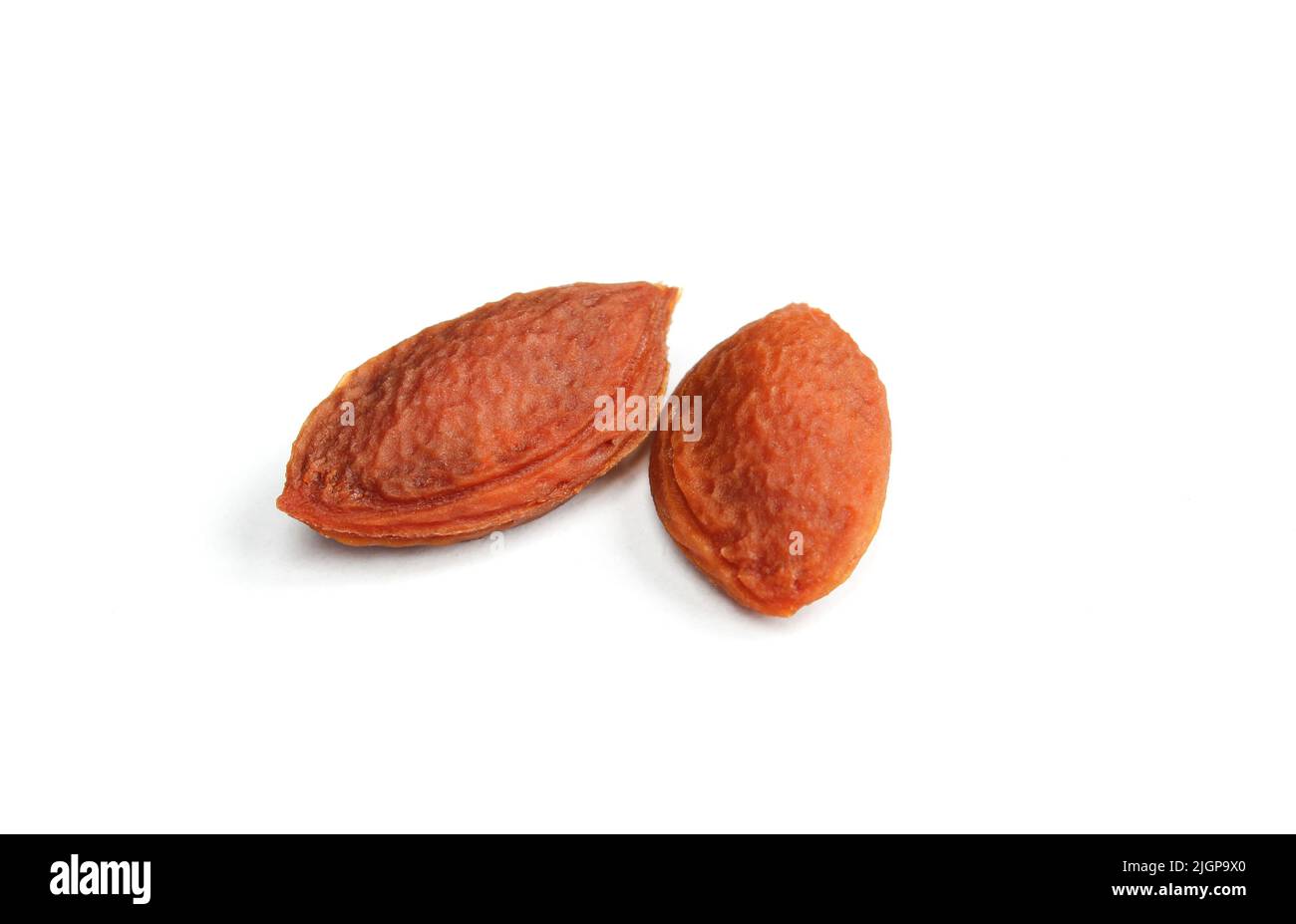 Two brown plum seeds isolated on white background Stock Photo - Alamy