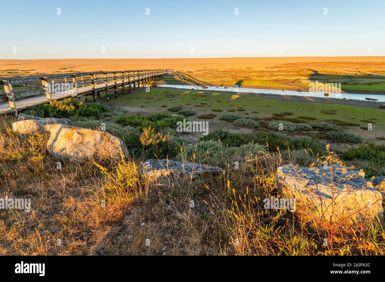 Portland bridge dorset hi-res stock photography and images - Alamy
