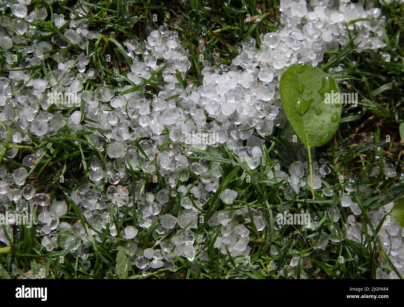 Hail precipitation hi-res stock photography and images - Alamy