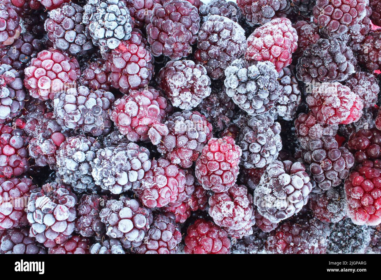Full frame of frozen blackberries. Frosty fruit background Stock Photo ...