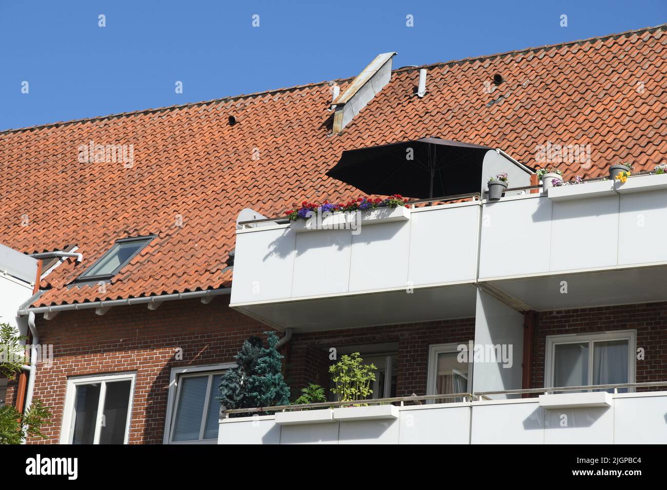 Kastrup/Copenhagen/Denmark/12 July 2022/Danish caodos nd flowers ...